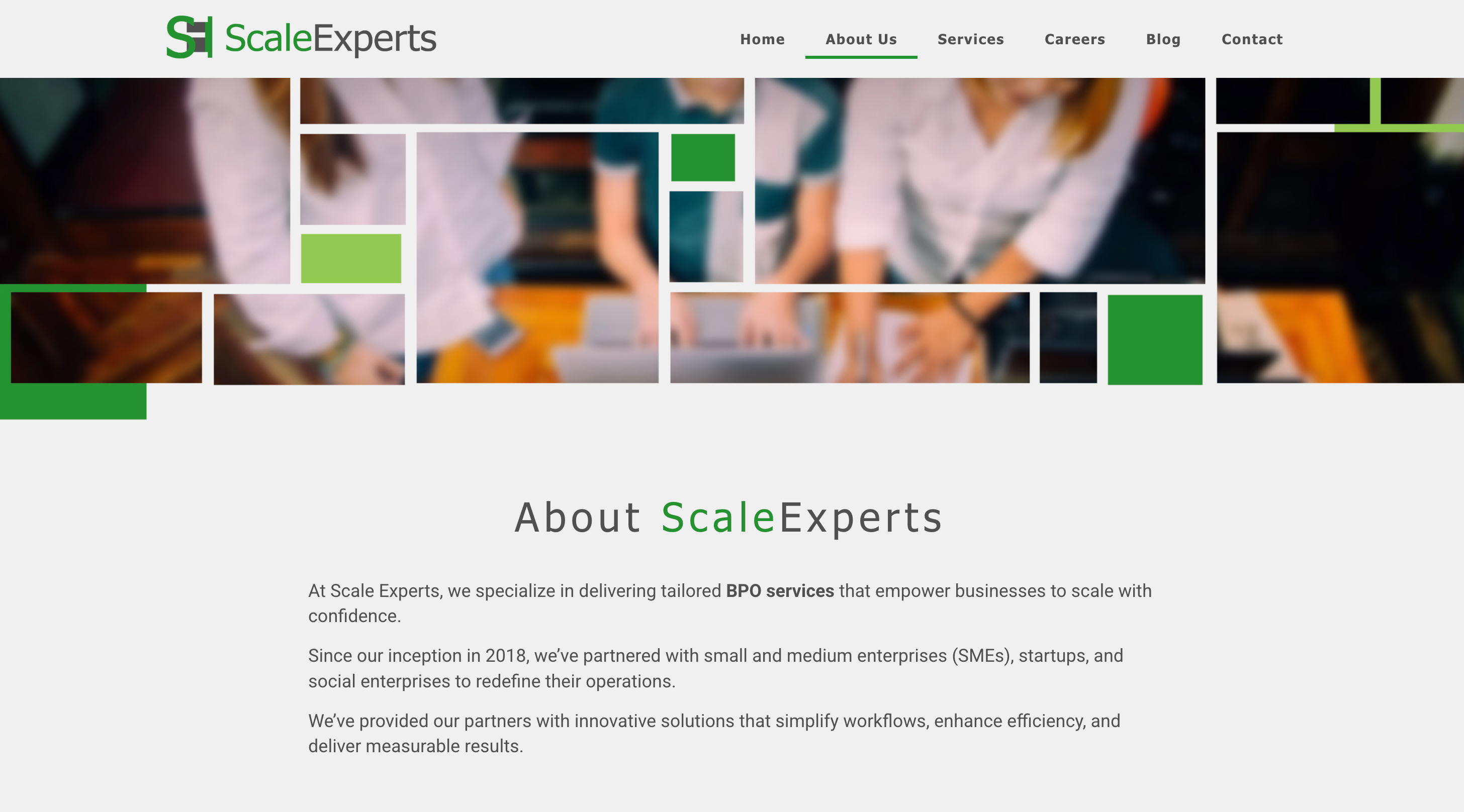 About SEI - Scale Experts