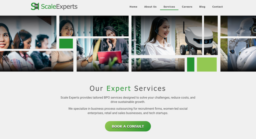 Services - Scale Experts